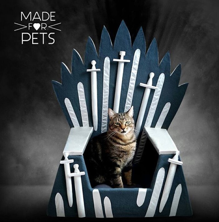 Designer Makes Iron Throne Pet Beds - MobiSpirit